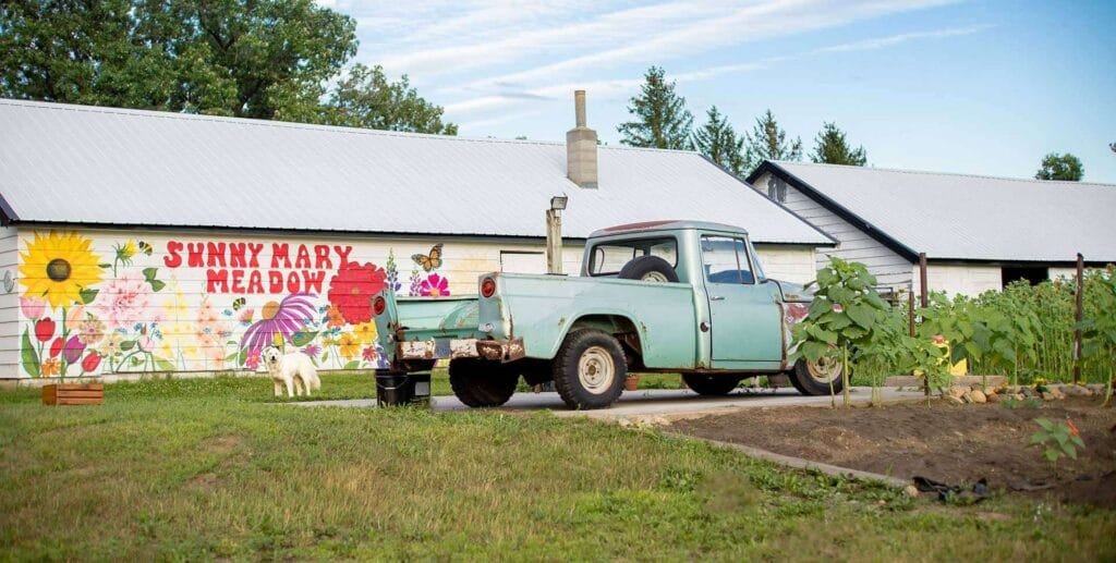 Sunny Mary Meadow – Beautiful Handpicked Flowers & Custom Floral ...