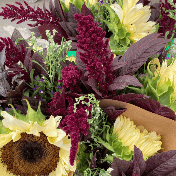 A Guide to Growing Your First Cut Flower Garden – Sunny Mary Meadow