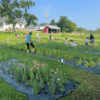 August Recap – Sunny Mary Meadow