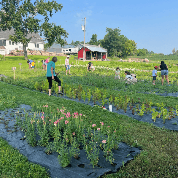 August Recap – Sunny Mary Meadow