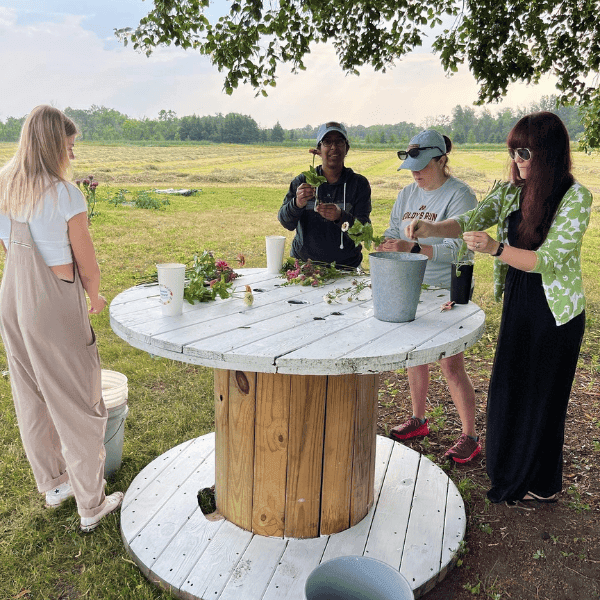 August Recap – Sunny Mary Meadow