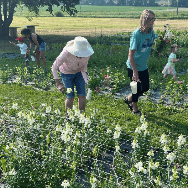 August Recap – Sunny Mary Meadow