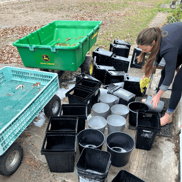 Podcast – Sunny Mary Meadow