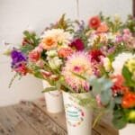 Homepage - Sunny Mary Meadow